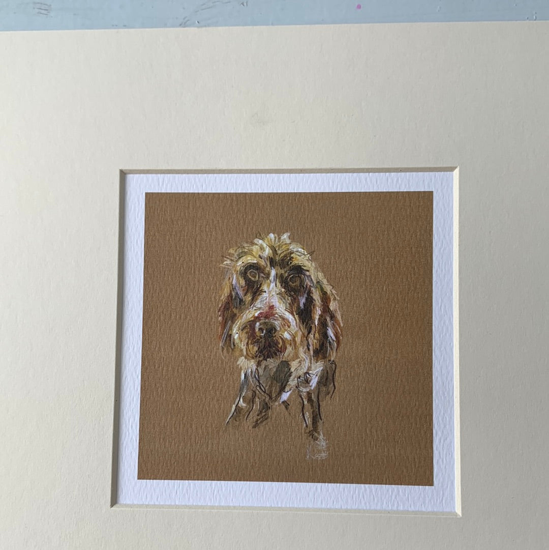 German wire haired pointer – Christine Cummings